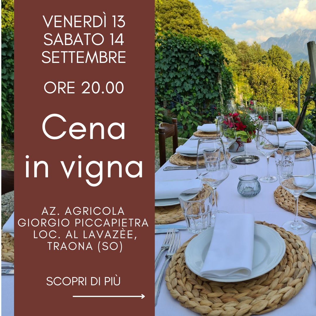 Cena in vigna - Experience Valtellina